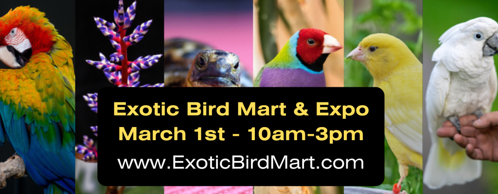 Exotic Bird Mart & Expo - Ventura County Fairgrounds